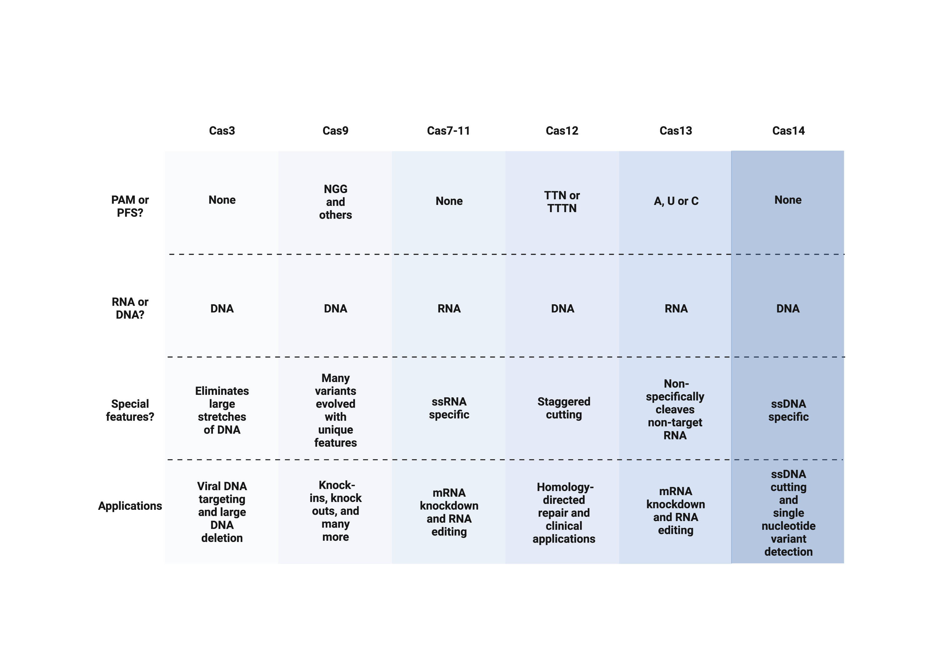 CRISPR 101: Cas9 vs. The Other Cas(s)